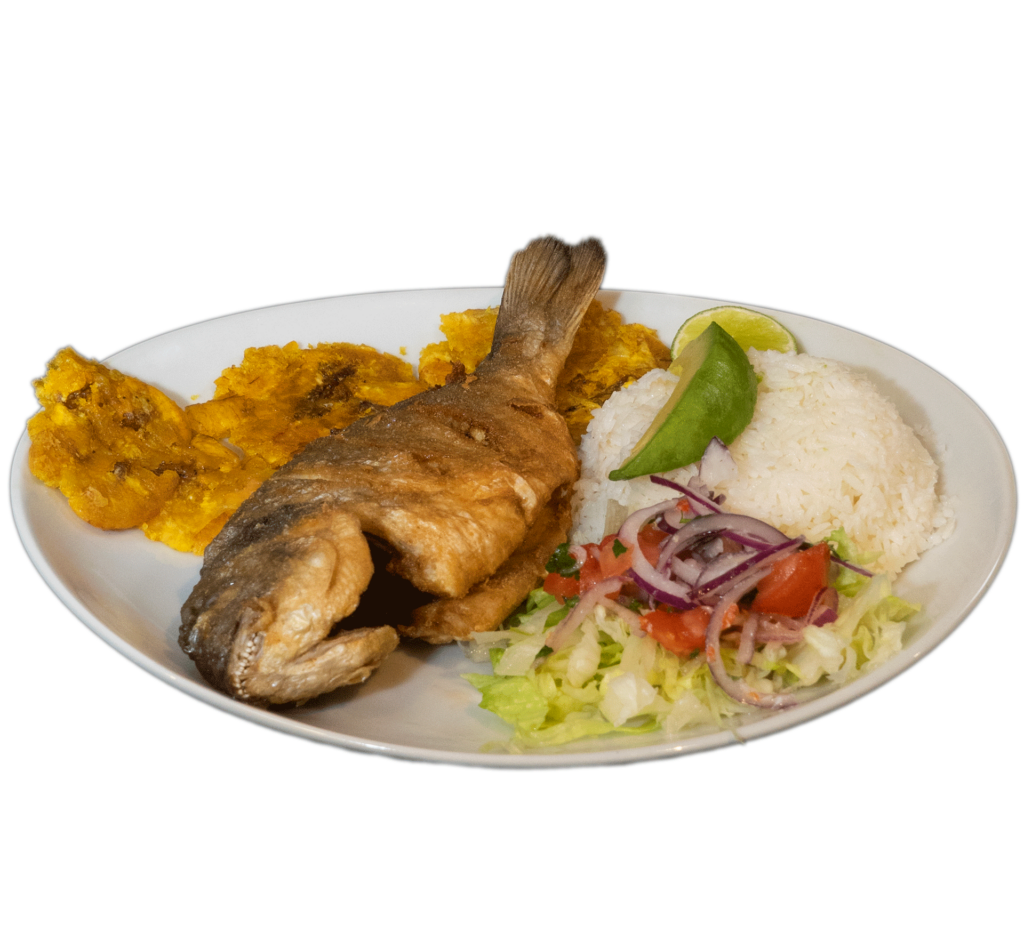 Nuestros Platos - Restaurante Bongo Nancy